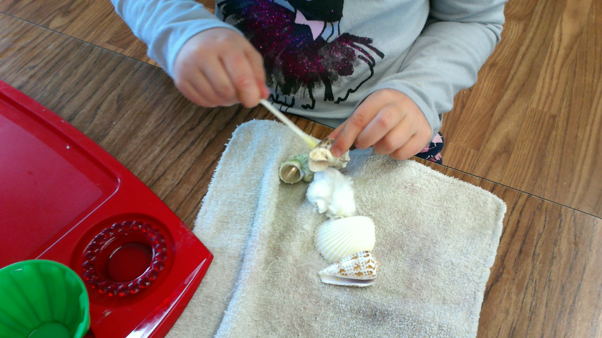 Shell Polishing - Discovery Montessori